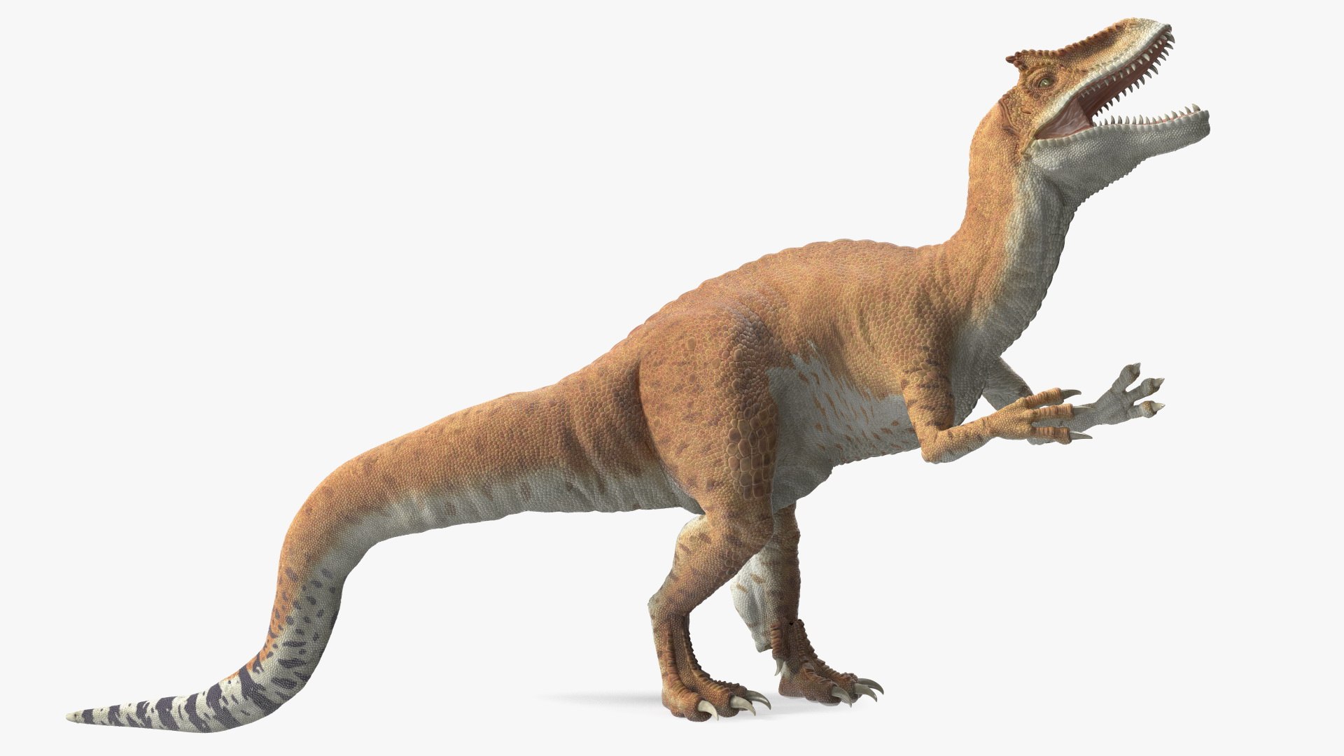 Allosaurus Yellow Coloring Rigged For Maya 3D Model - TurboSquid 2170524