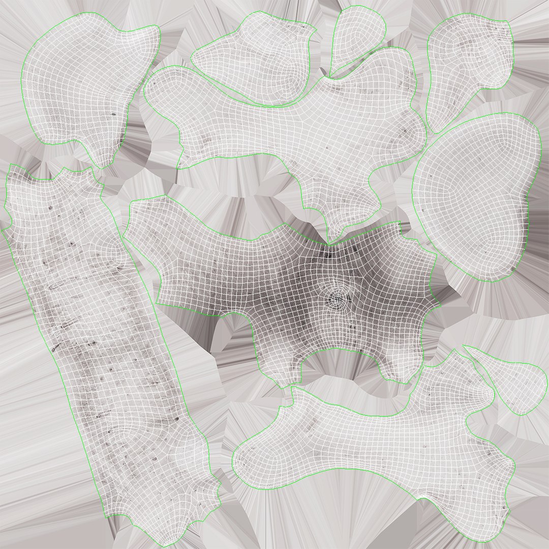Bear Ursus Thoracic Vertebrae T11 3D Model - TurboSquid 2163674