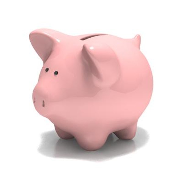maya piggy bank
