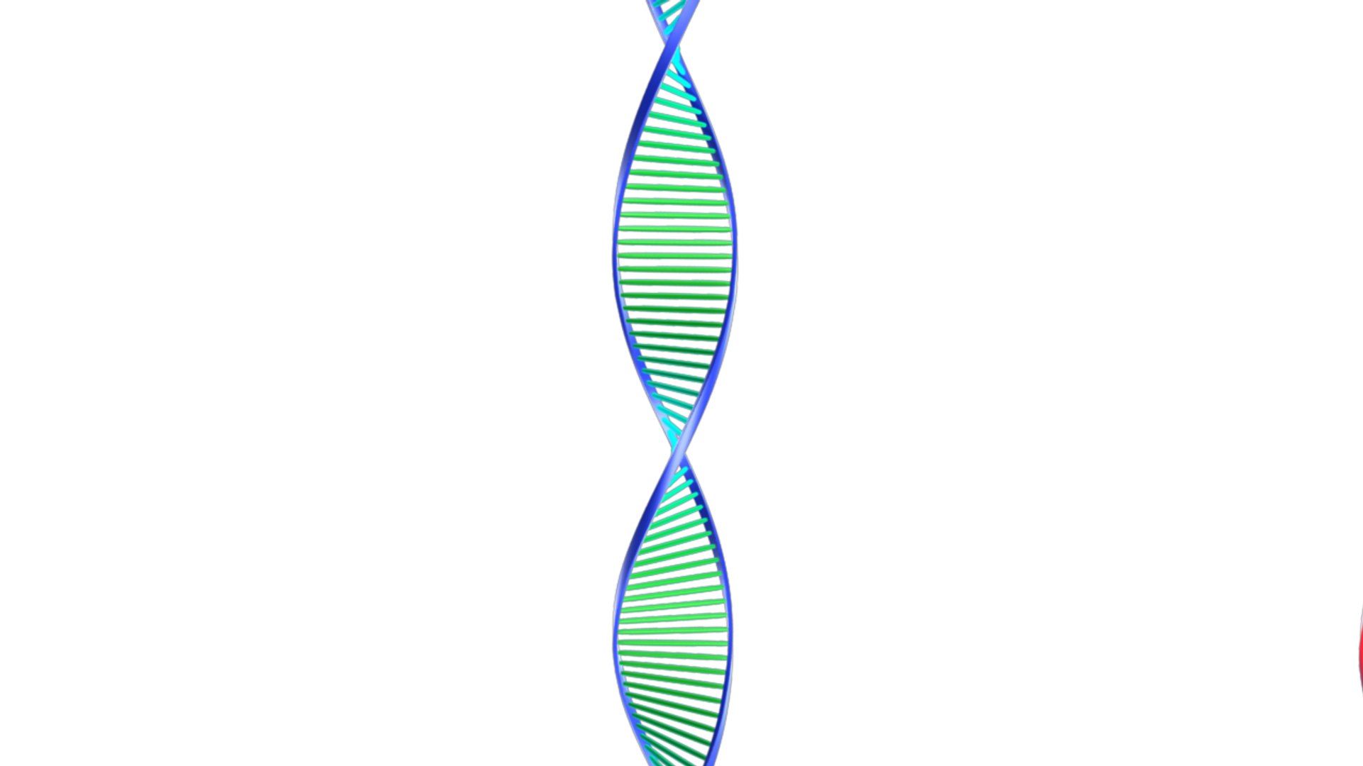 3d model dna molecule rna