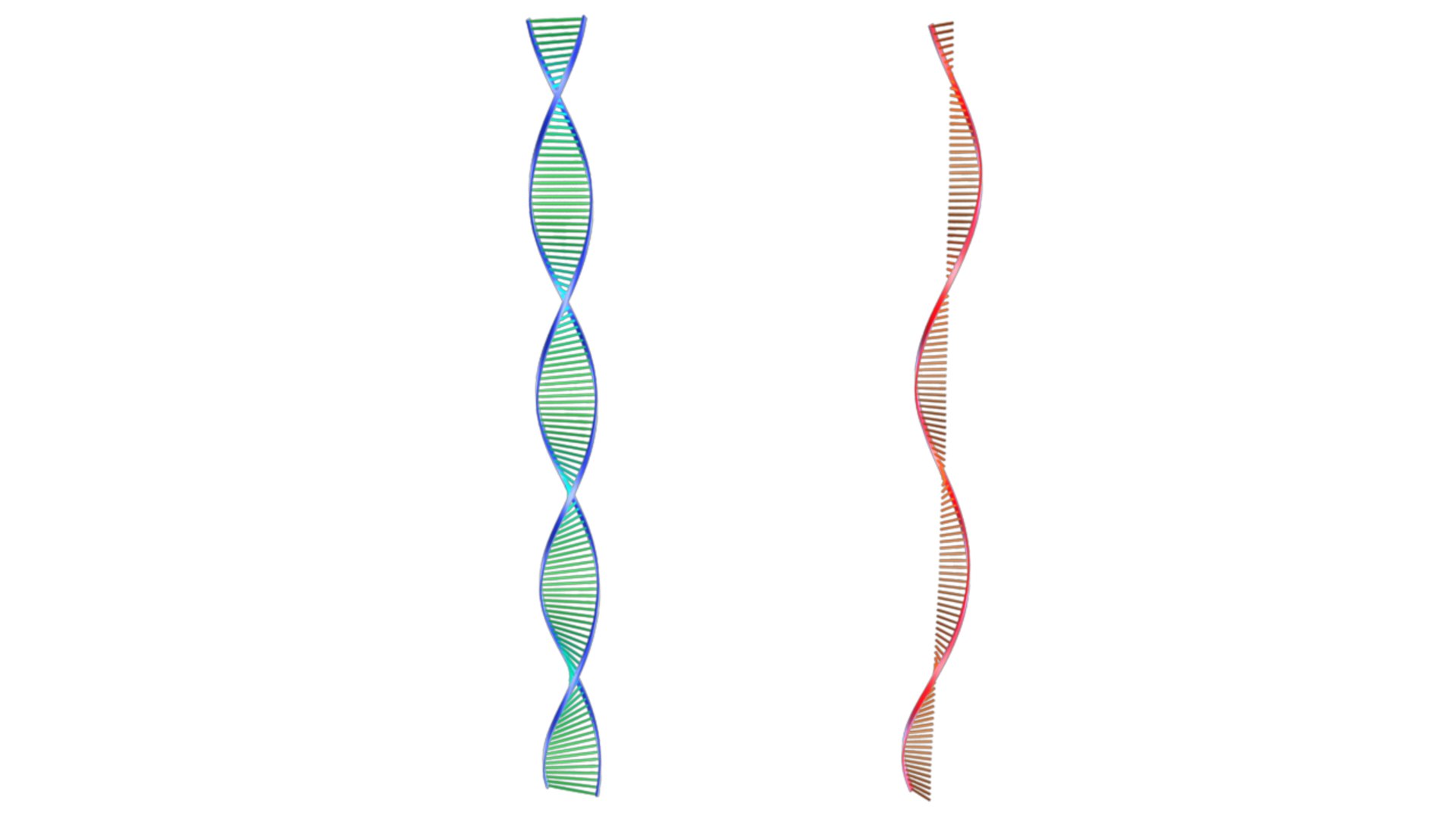 3d model dna molecule rna