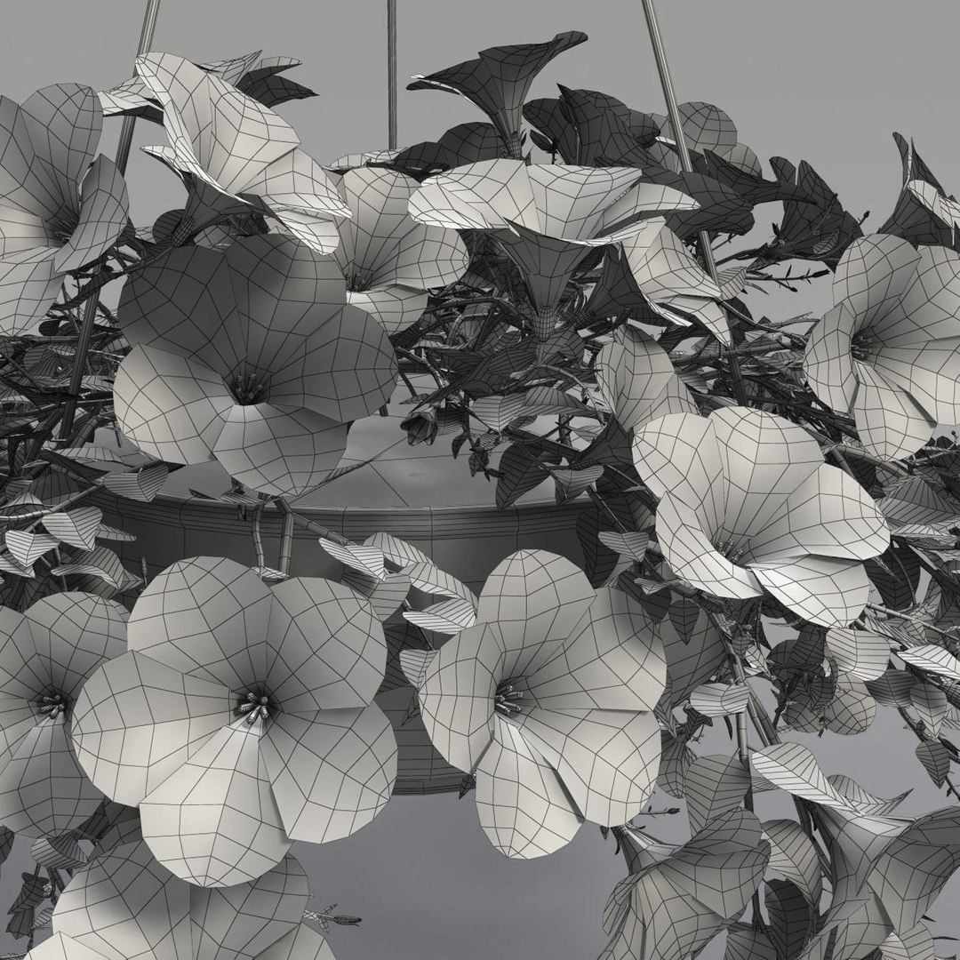 3d Petunia Flower Model