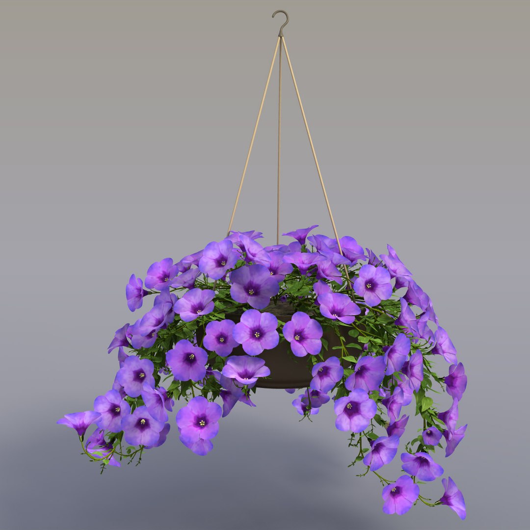 3d Petunia Flower Model