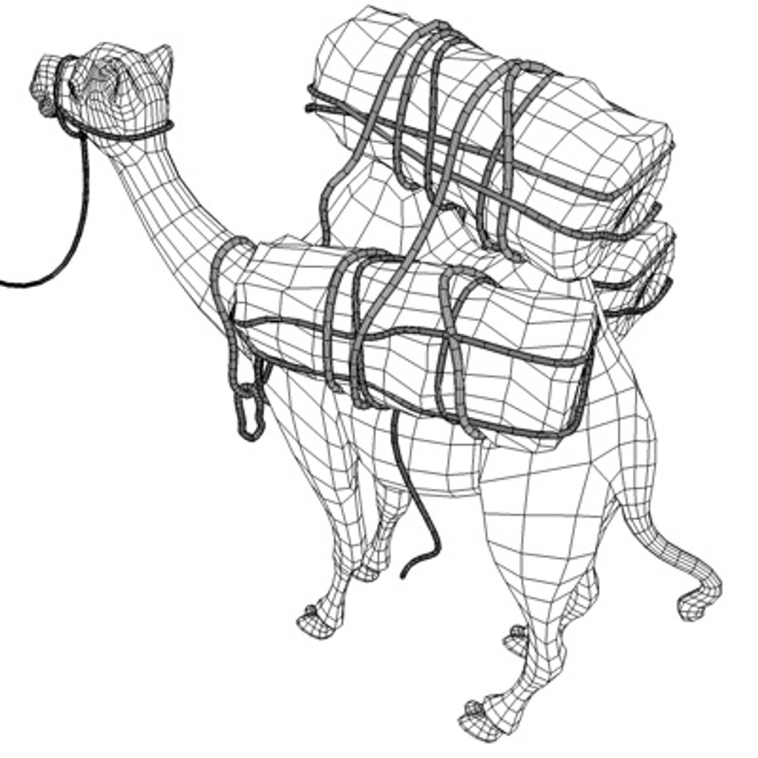 3d Camel Model