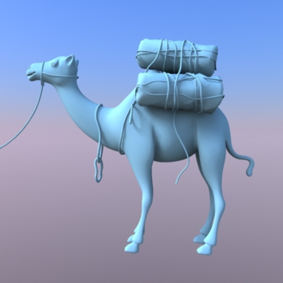 3d Camel Model