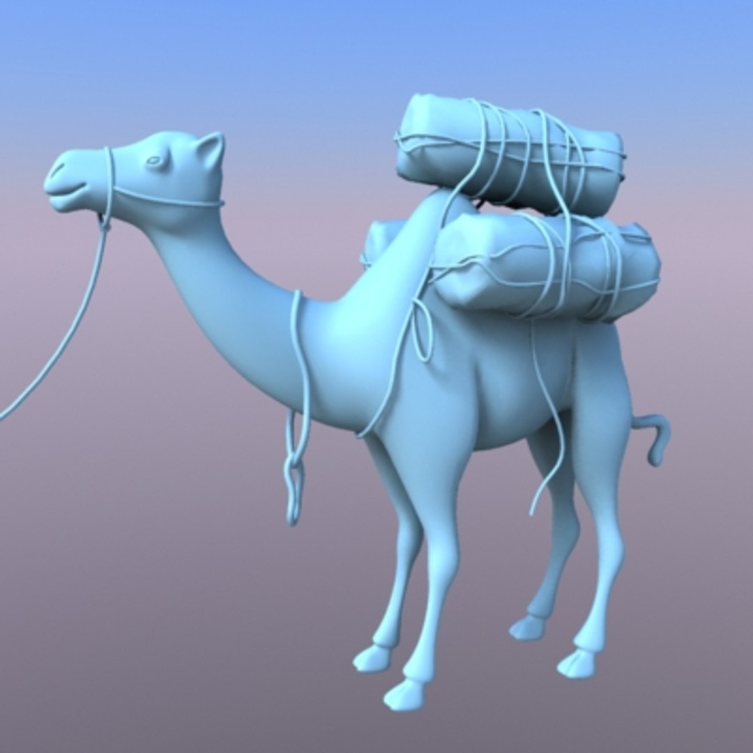 3d Camel Model