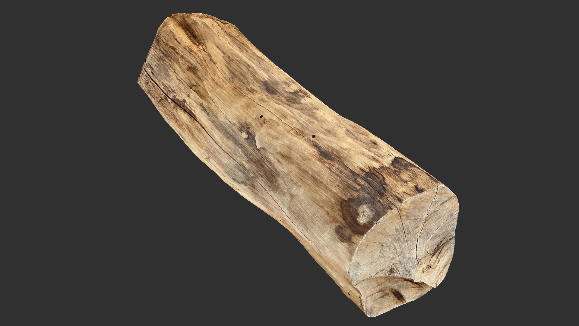 3D Scan Realistic Tree Timber Model - TurboSquid 2201280