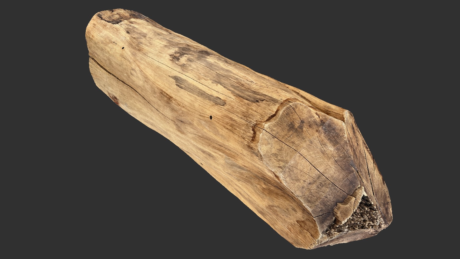 3D Scan Realistic Tree Timber Model - TurboSquid 2201280