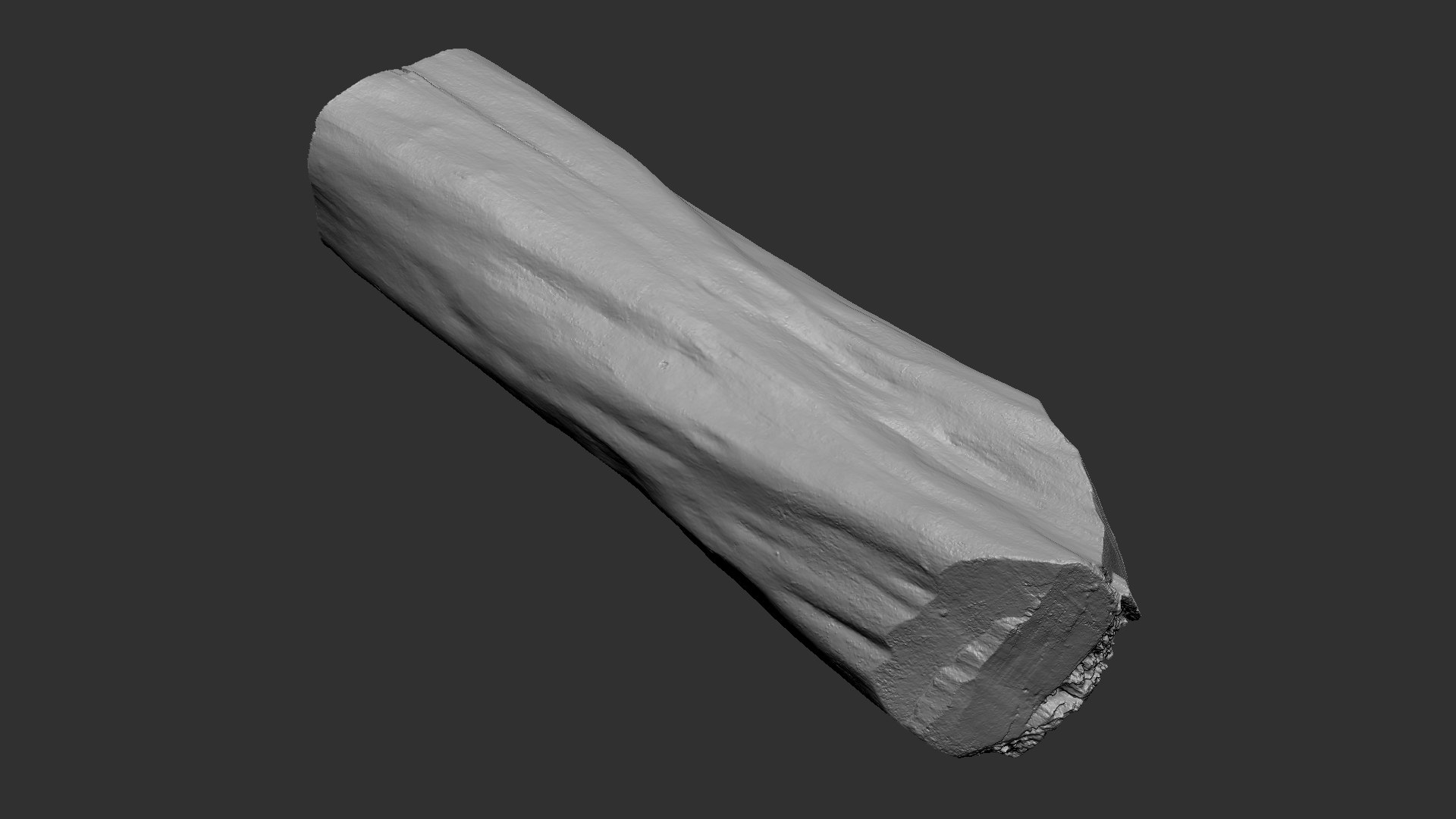 3D Scan Realistic Tree Timber Model - TurboSquid 2201280