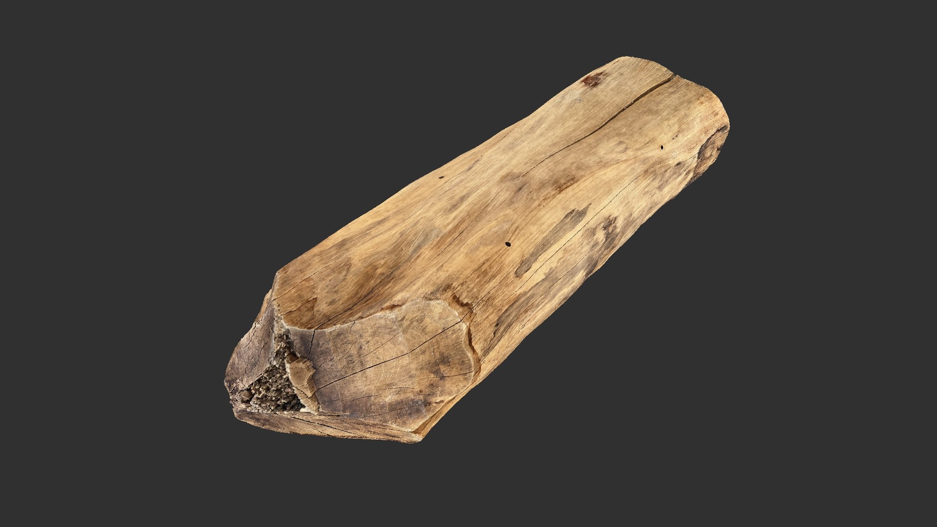 3D Scan Realistic Tree Timber Model - TurboSquid 2201280