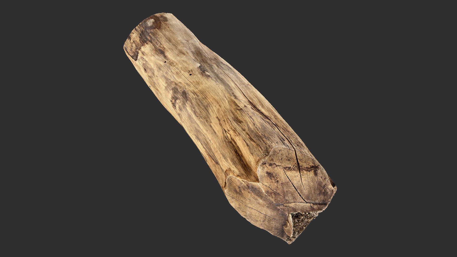 3D Scan Realistic Tree Timber Model - TurboSquid 2201280