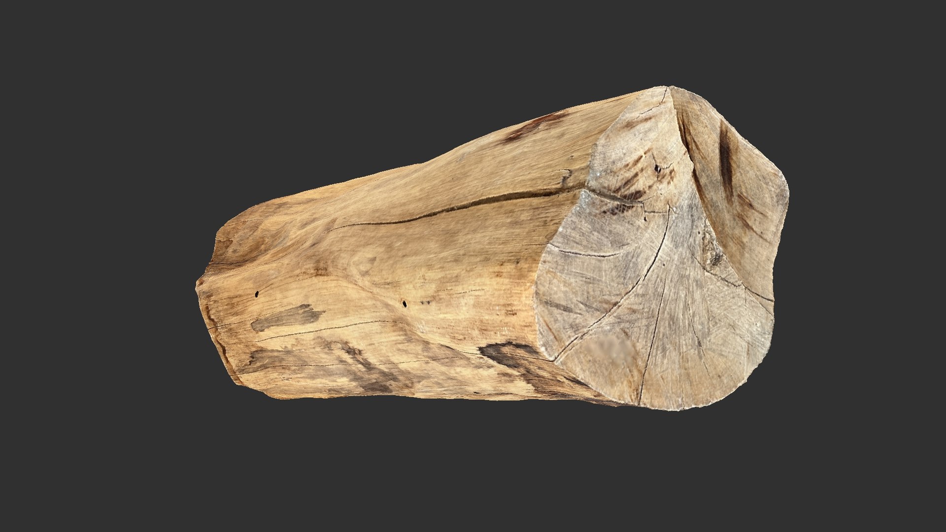 3D Scan Realistic Tree Timber Model - TurboSquid 2201280