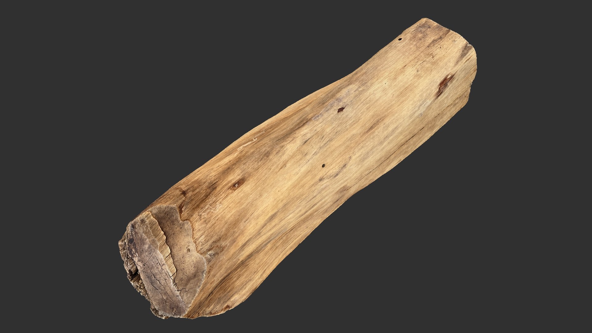 3D Scan Realistic Tree Timber Model - TurboSquid 2201280