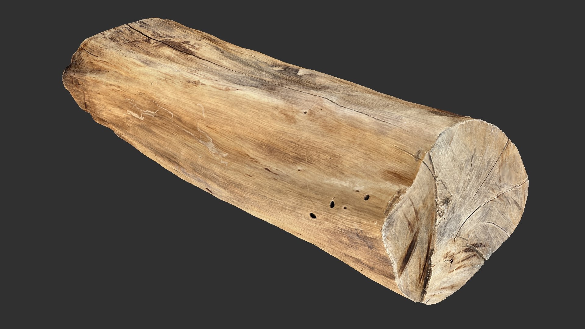 3D Scan Realistic Tree Timber Model - TurboSquid 2201280
