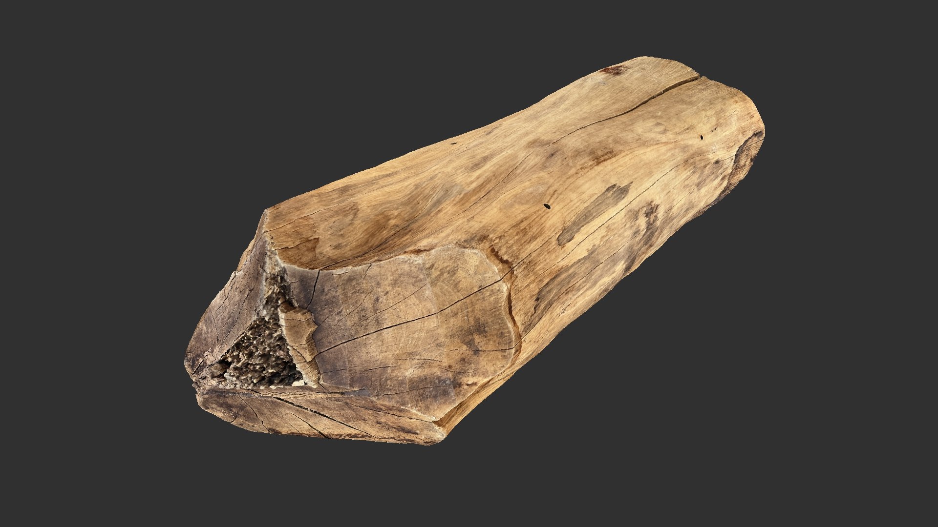 3D Scan Realistic Tree Timber Model - TurboSquid 2201280