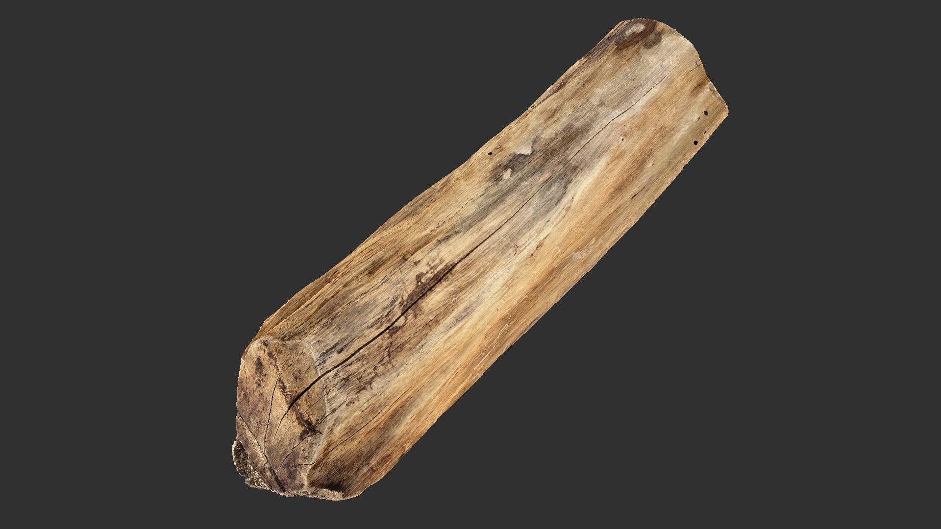 3D Scan Realistic Tree Timber Model - TurboSquid 2201280