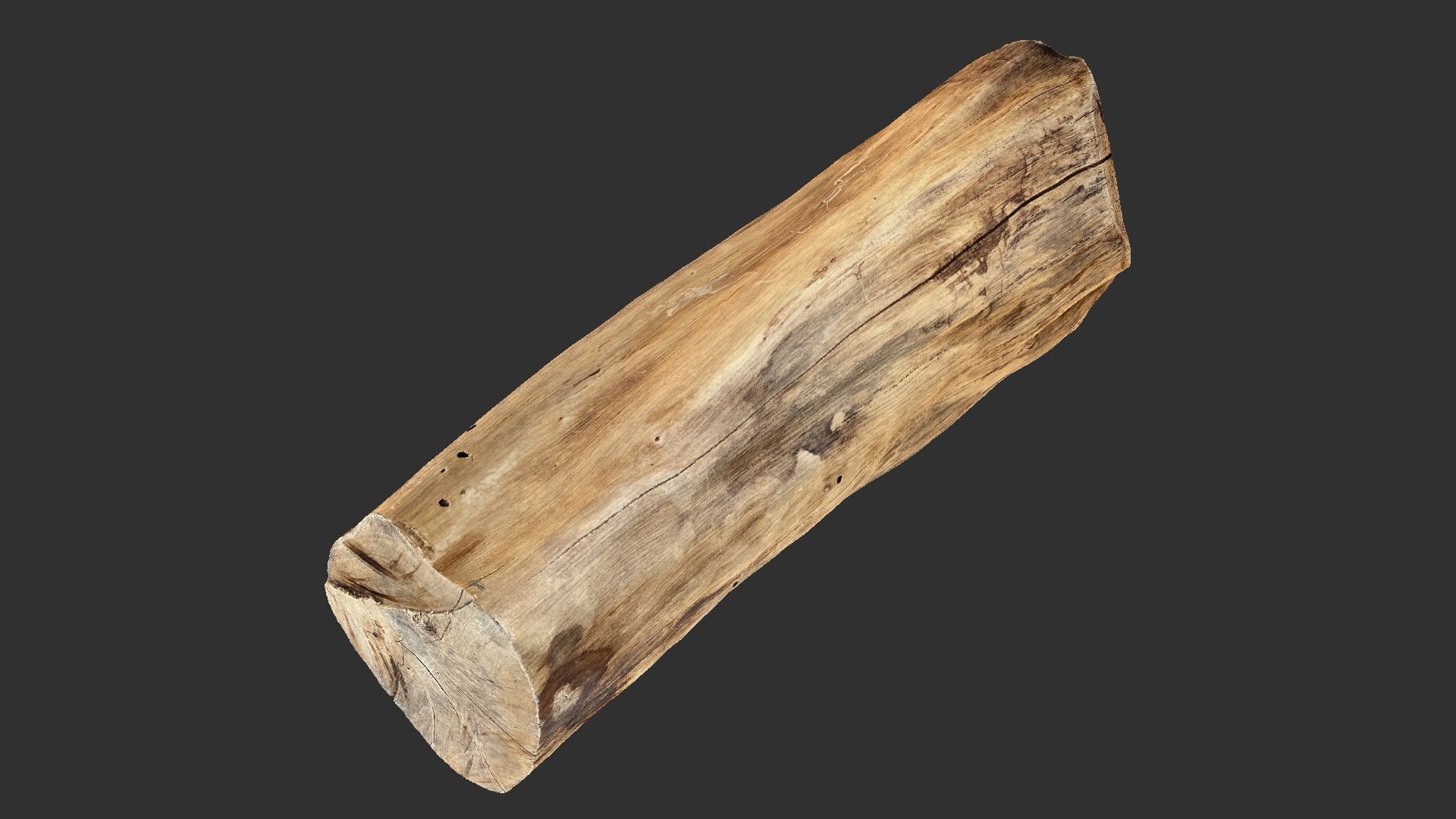 3D Scan Realistic Tree Timber Model - TurboSquid 2201280
