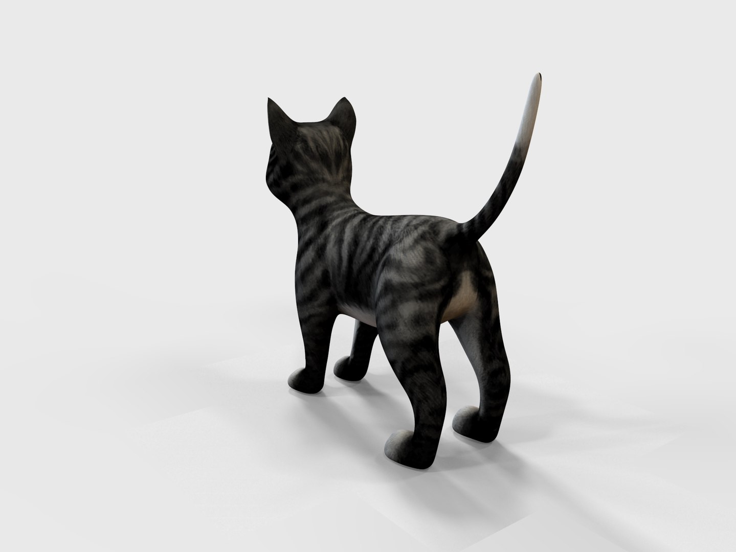 Cat Animation 3d Max