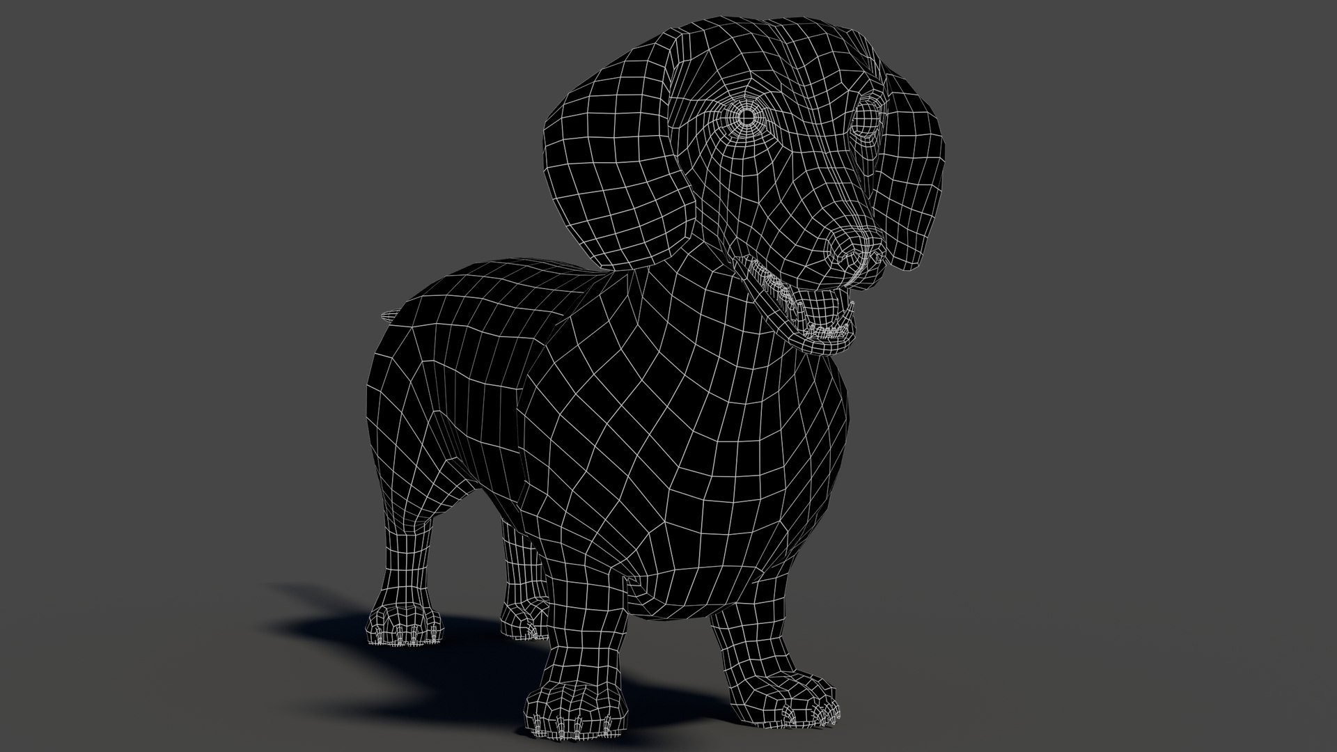 3D Black Dachshund Dog Model - TurboSquid 2517158