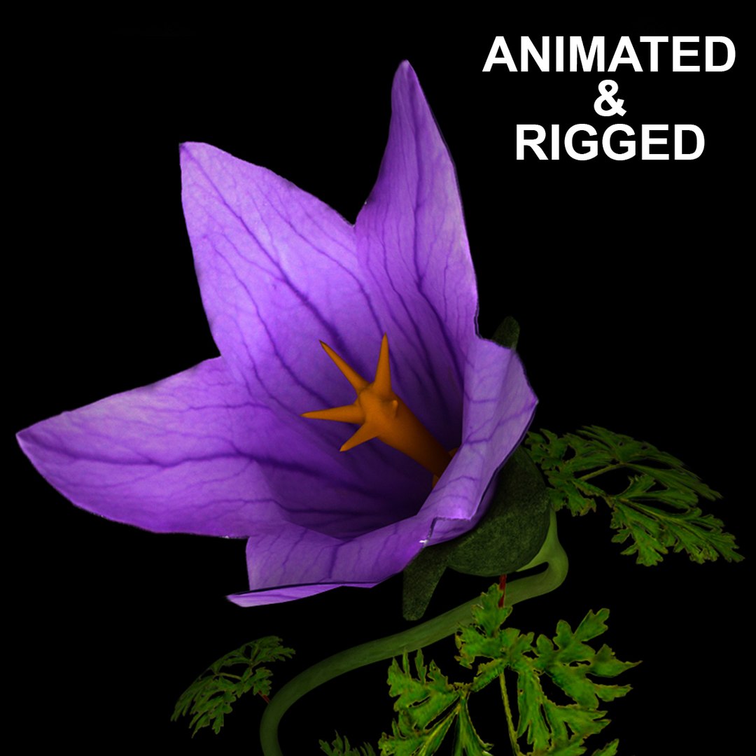 Flowers open animation 3D model - TurboSquid 1586590
