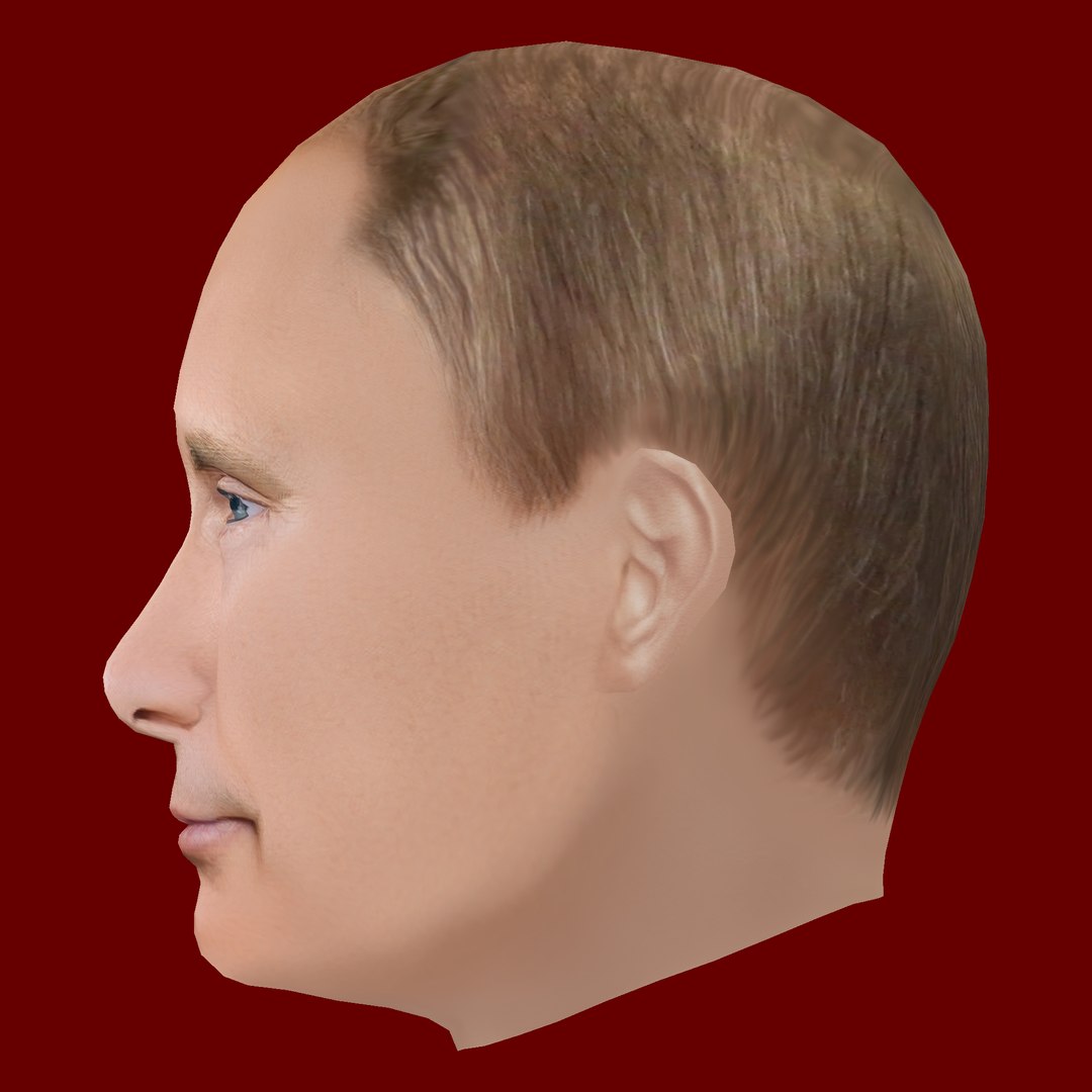 3D Low Poly Head Of The President - Vladimir Putin Model - TurboSquid ...