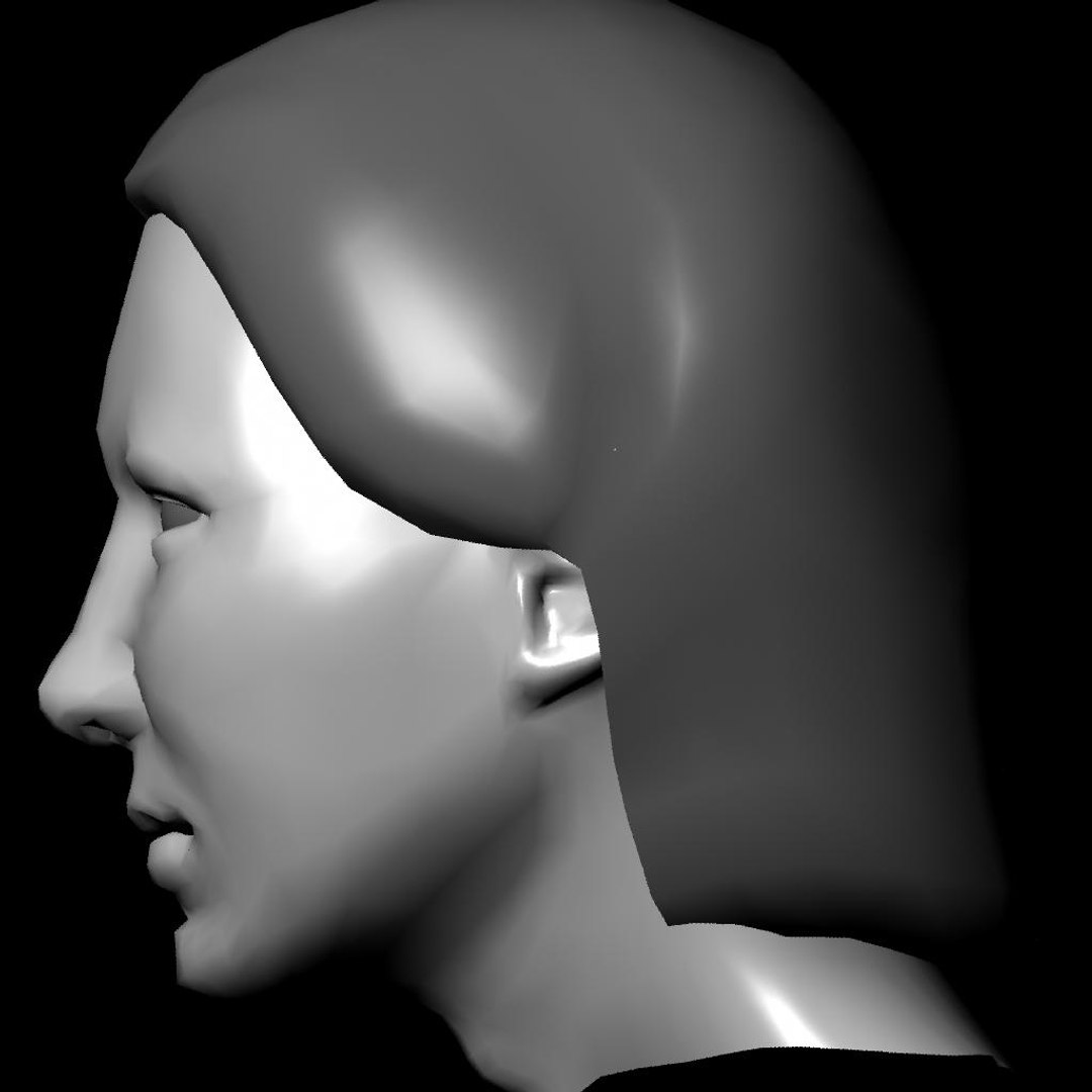 3d Obj Female Head