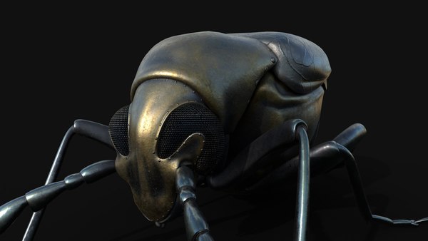 3D Pollination Models | TurboSquid