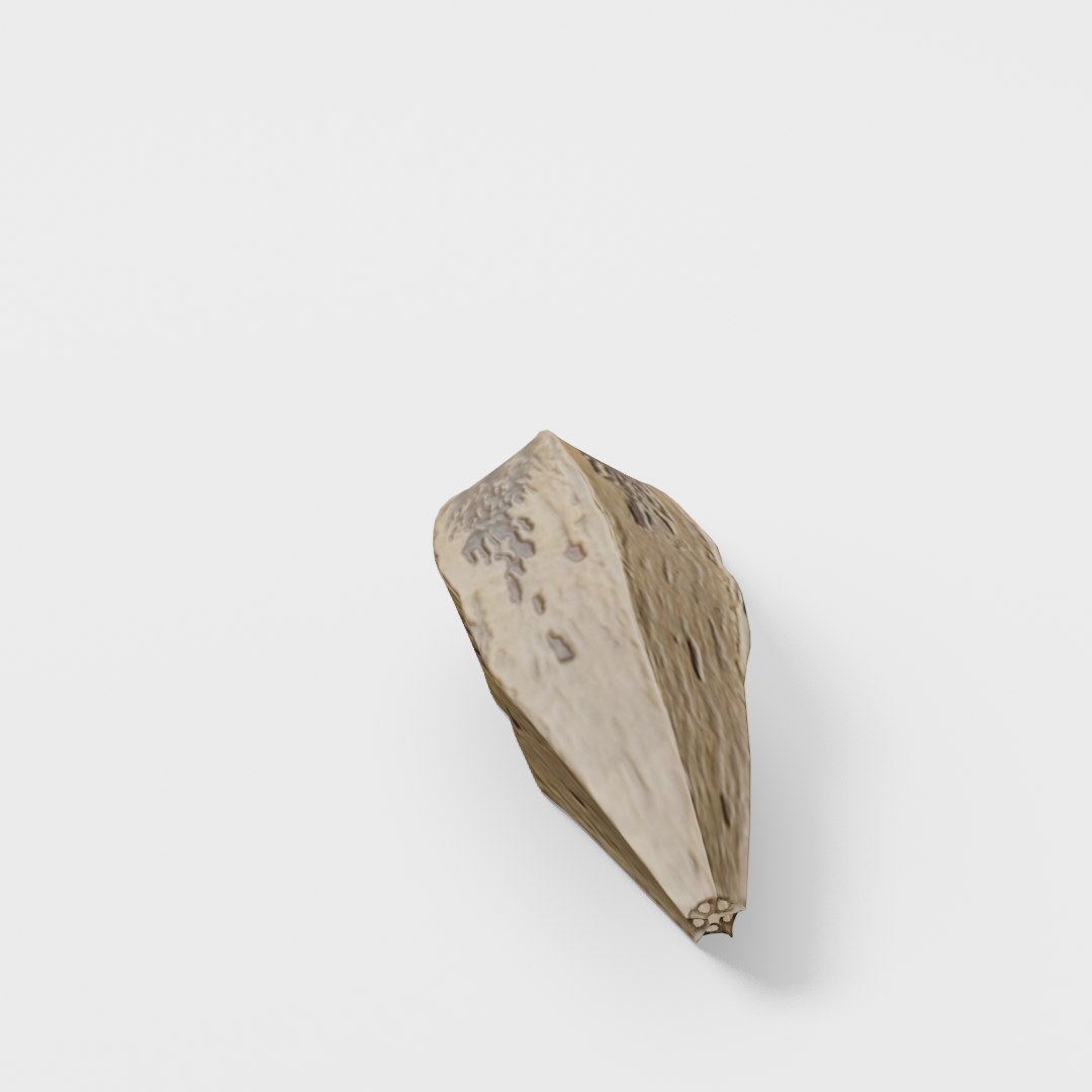 3D seed pod model - TurboSquid 1387078