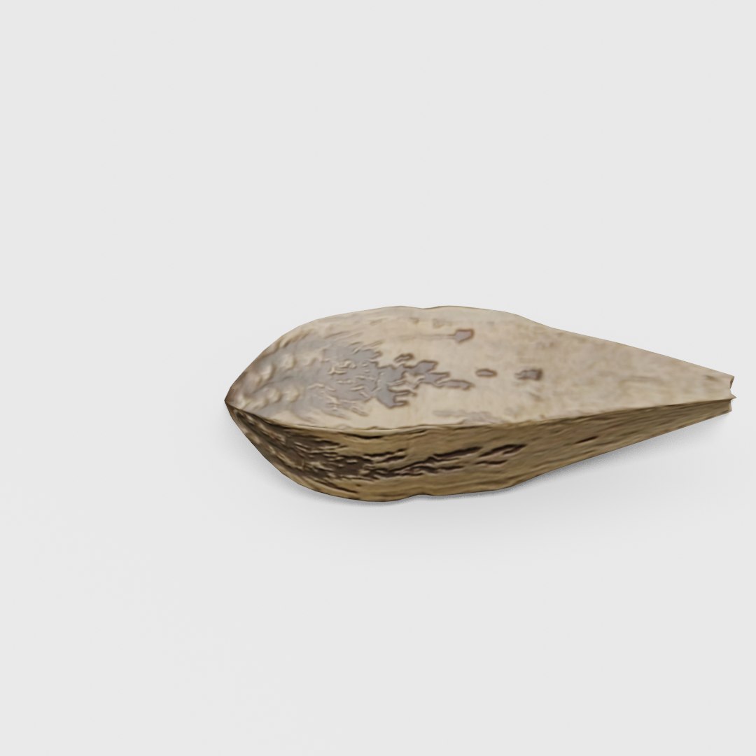 3D seed pod model - TurboSquid 1387078