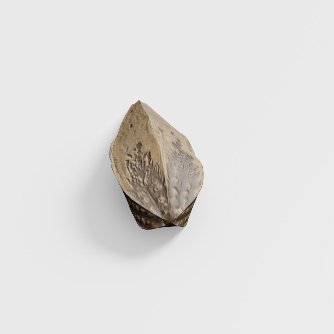 3D seed pod model - TurboSquid 1387078