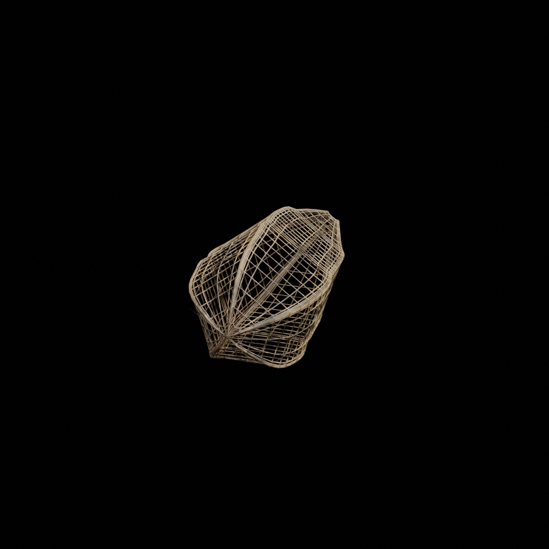 3D seed pod model - TurboSquid 1387078