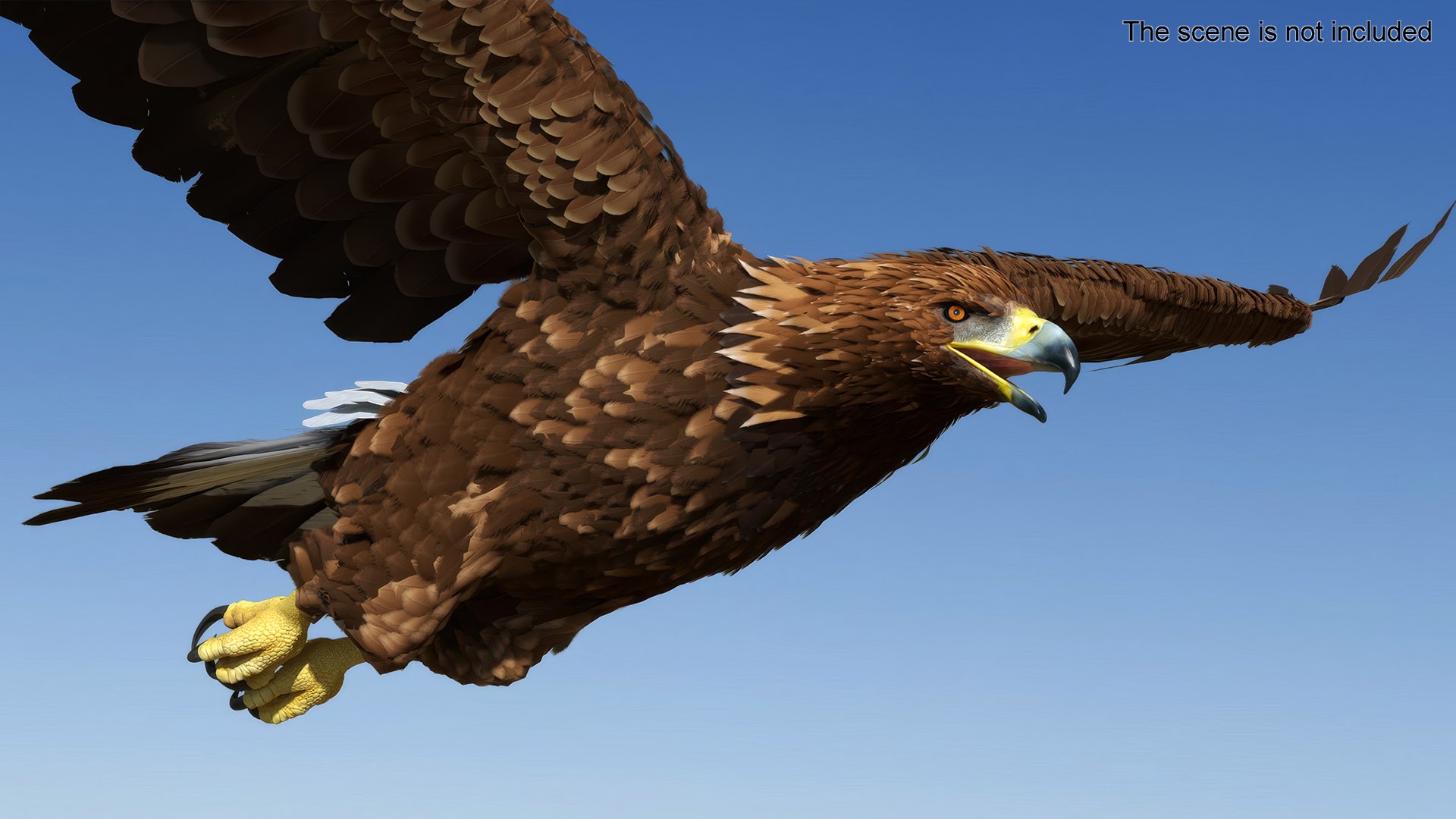 Flying Golden Eagle 3D Model - TurboSquid 2261400