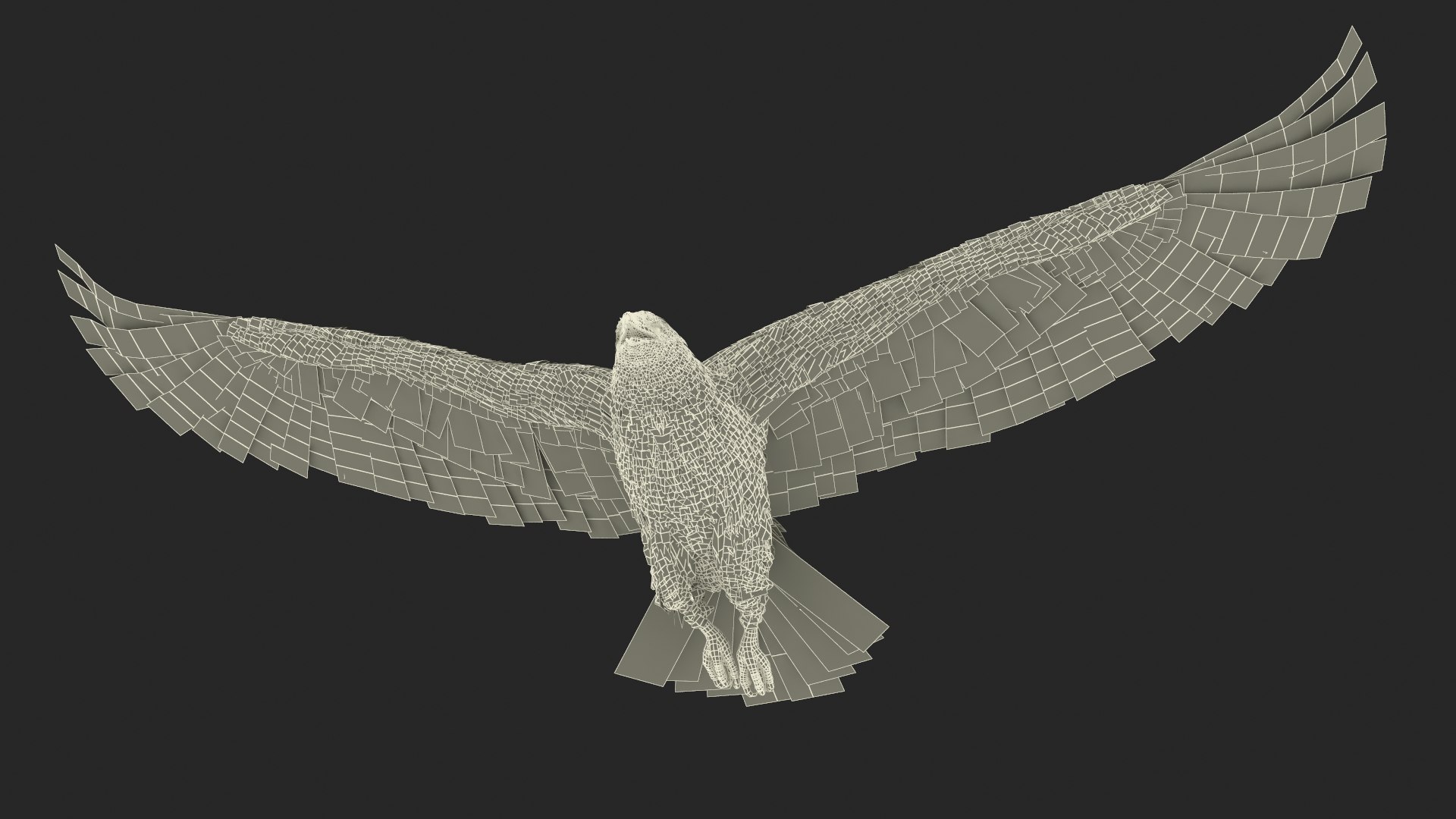 Flying Golden Eagle 3D Model - TurboSquid 2261400