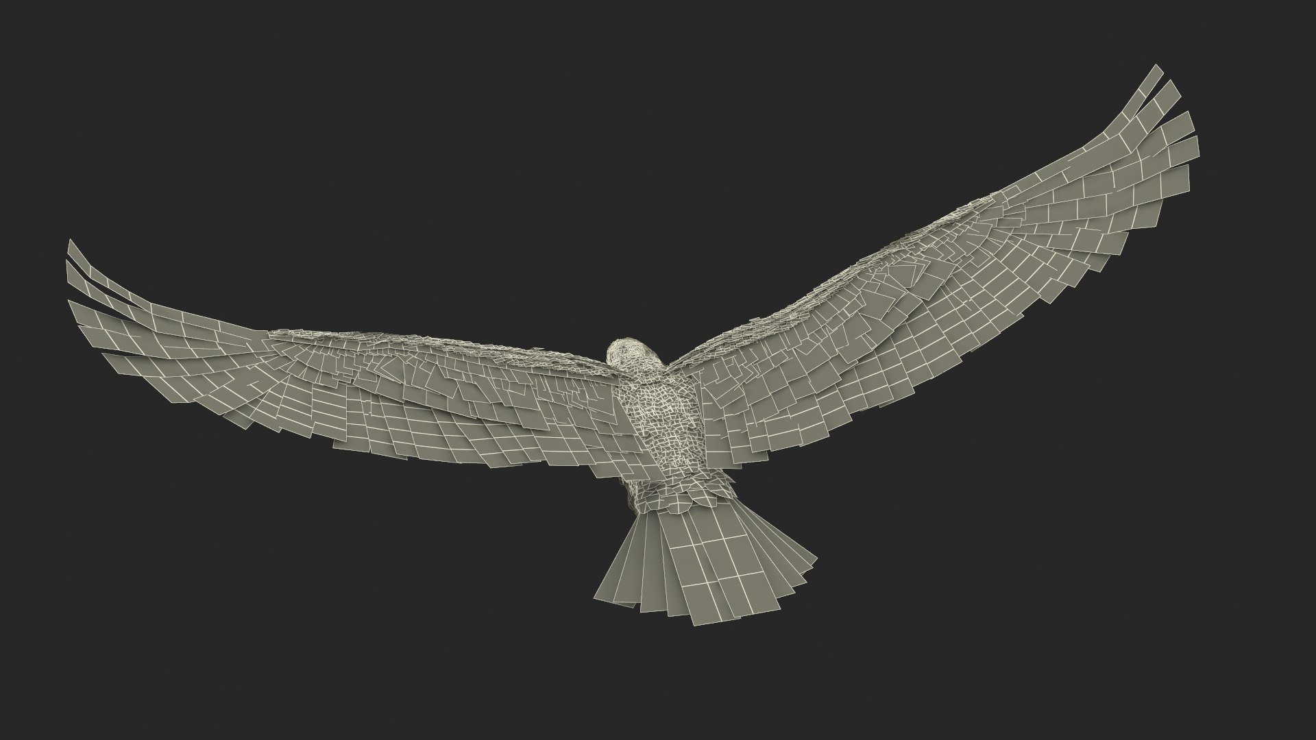 Flying Golden Eagle 3D Model - TurboSquid 2261400