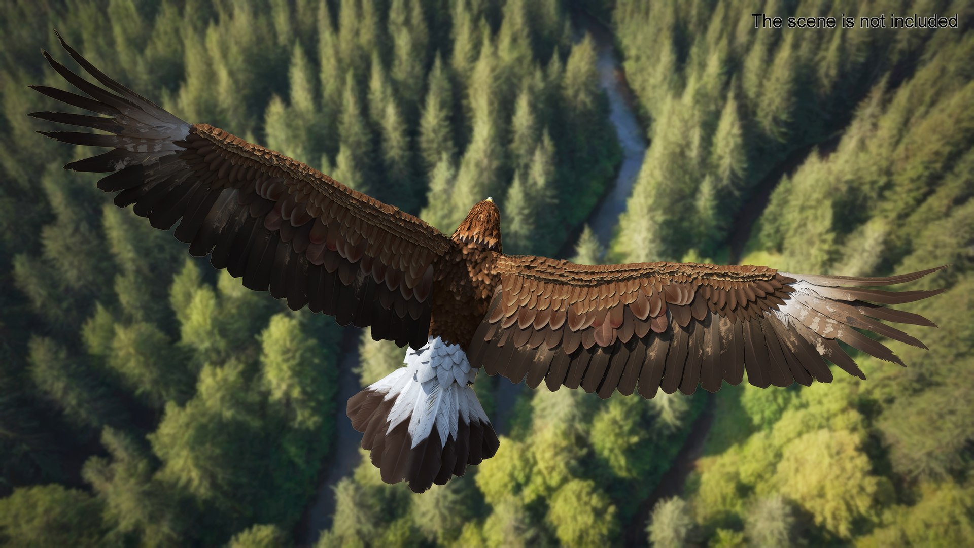 Flying Golden Eagle 3D Model - TurboSquid 2261400