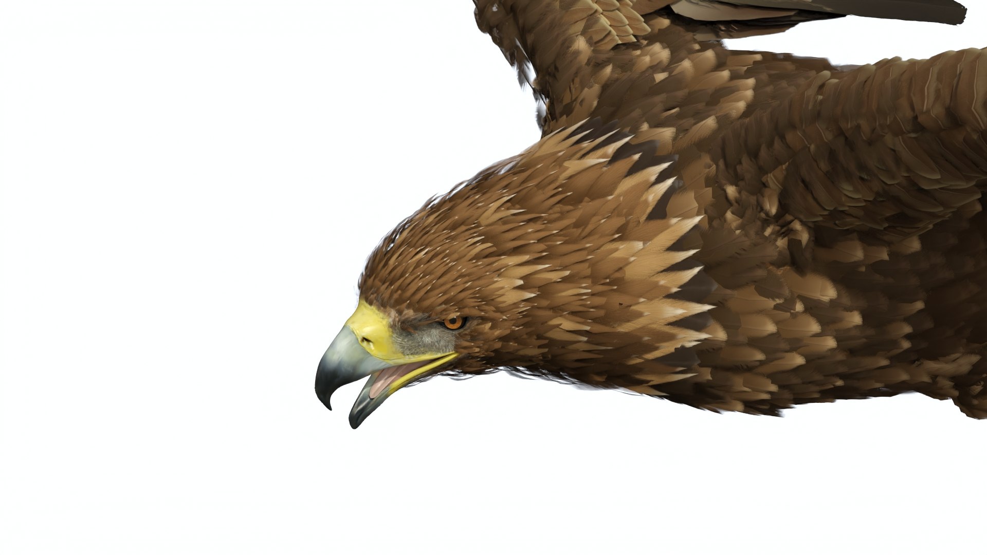 Flying Golden Eagle 3D Model - TurboSquid 2261400