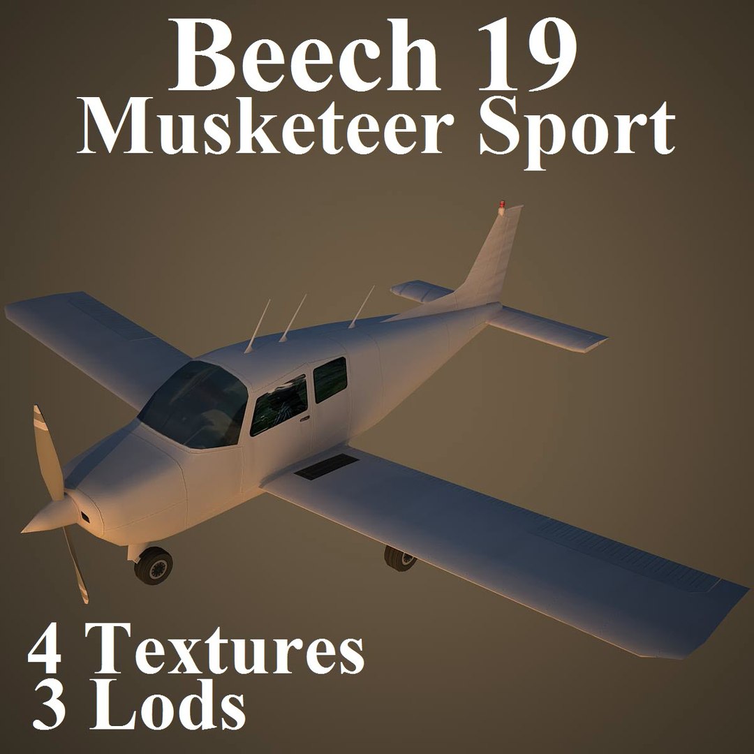 beech 19 3d model