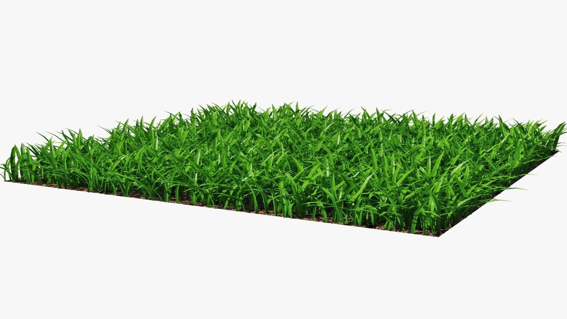 3D Model Realistic Grass Solutions For Every Landscape - TurboSquid 2208039