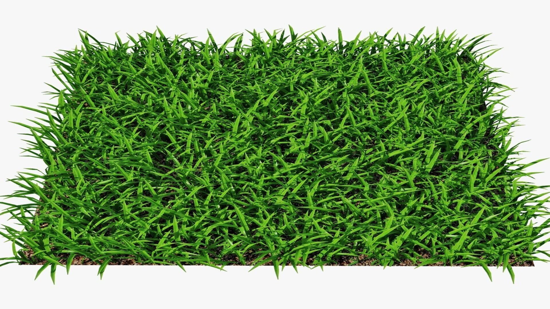 3D Model Realistic Grass Solutions For Every Landscape - TurboSquid 2208039