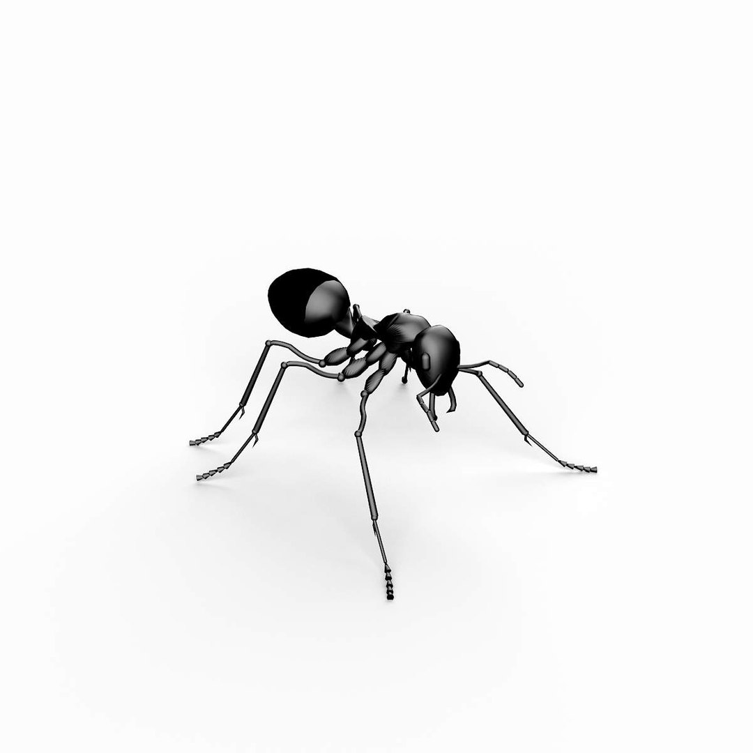ant x