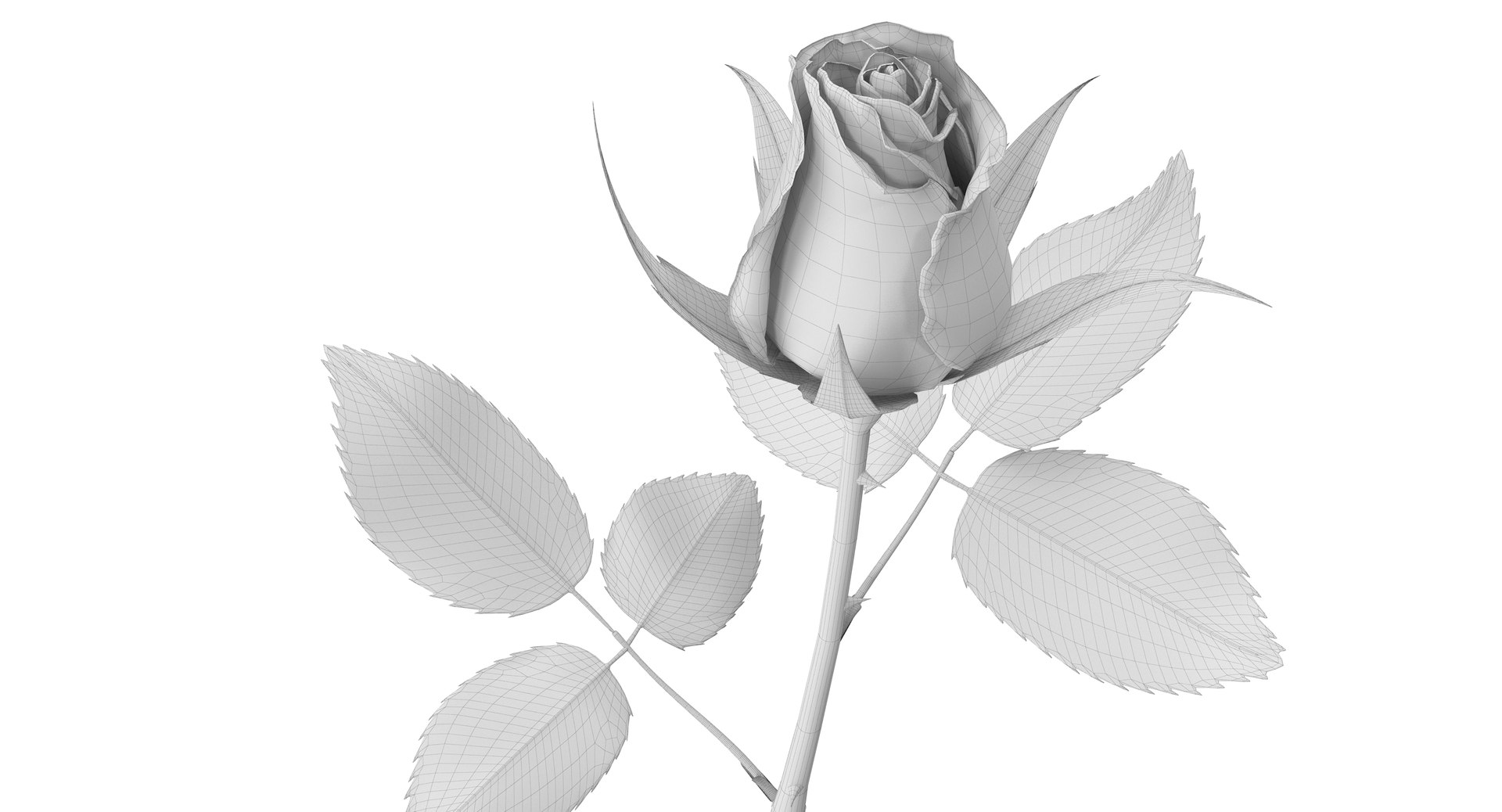 3d Max Rose Modeled