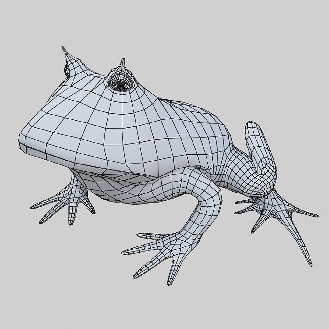 3d Model Of Argentine Horned Frog
