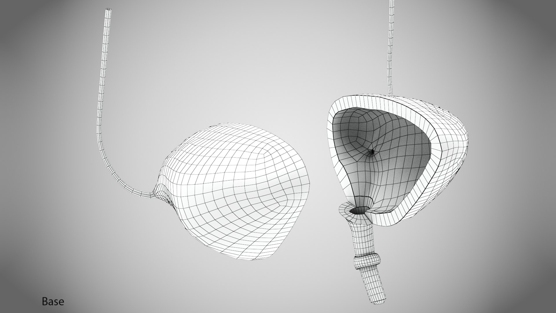 Bladder With Anatomic Cut 3D - TurboSquid 1847852