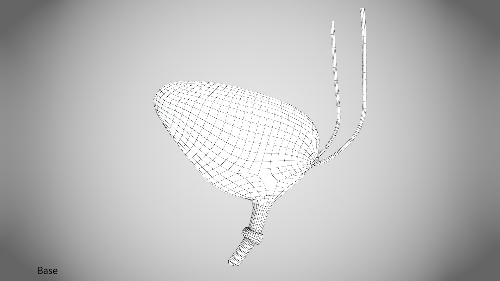 Bladder With Anatomic Cut 3D - TurboSquid 1847852