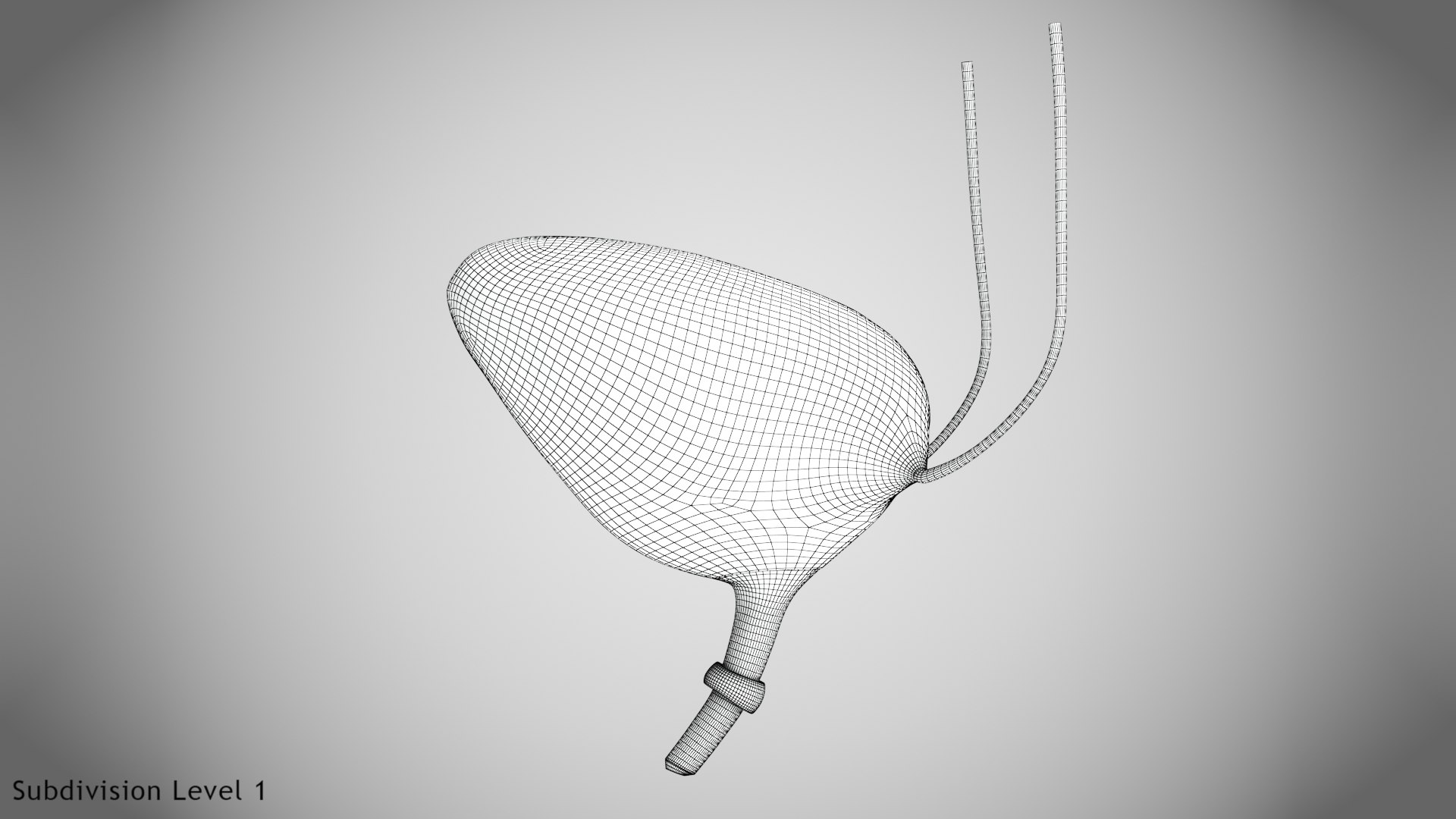 Bladder With Anatomic Cut 3D - TurboSquid 1847852