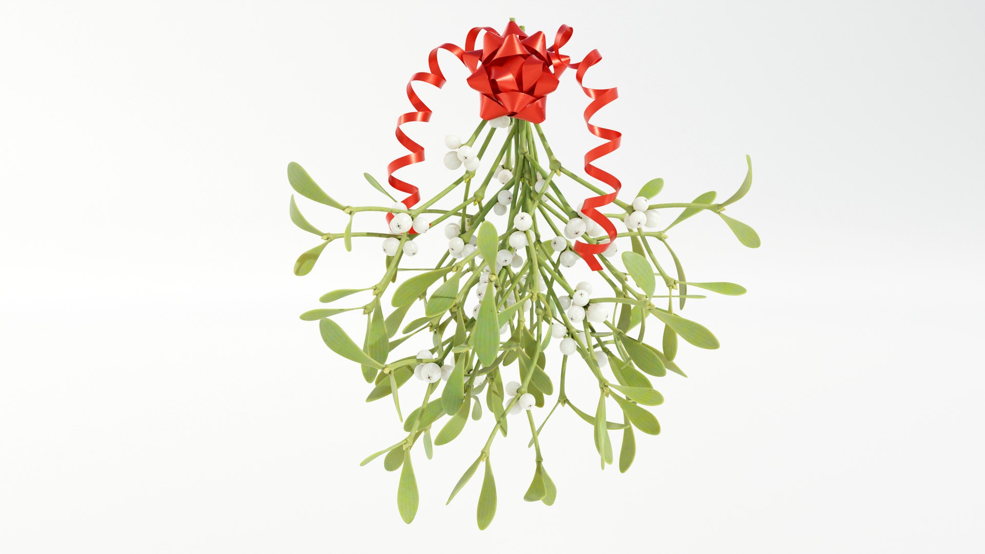 Mistletoe Bunch 3D - TurboSquid 2170741
