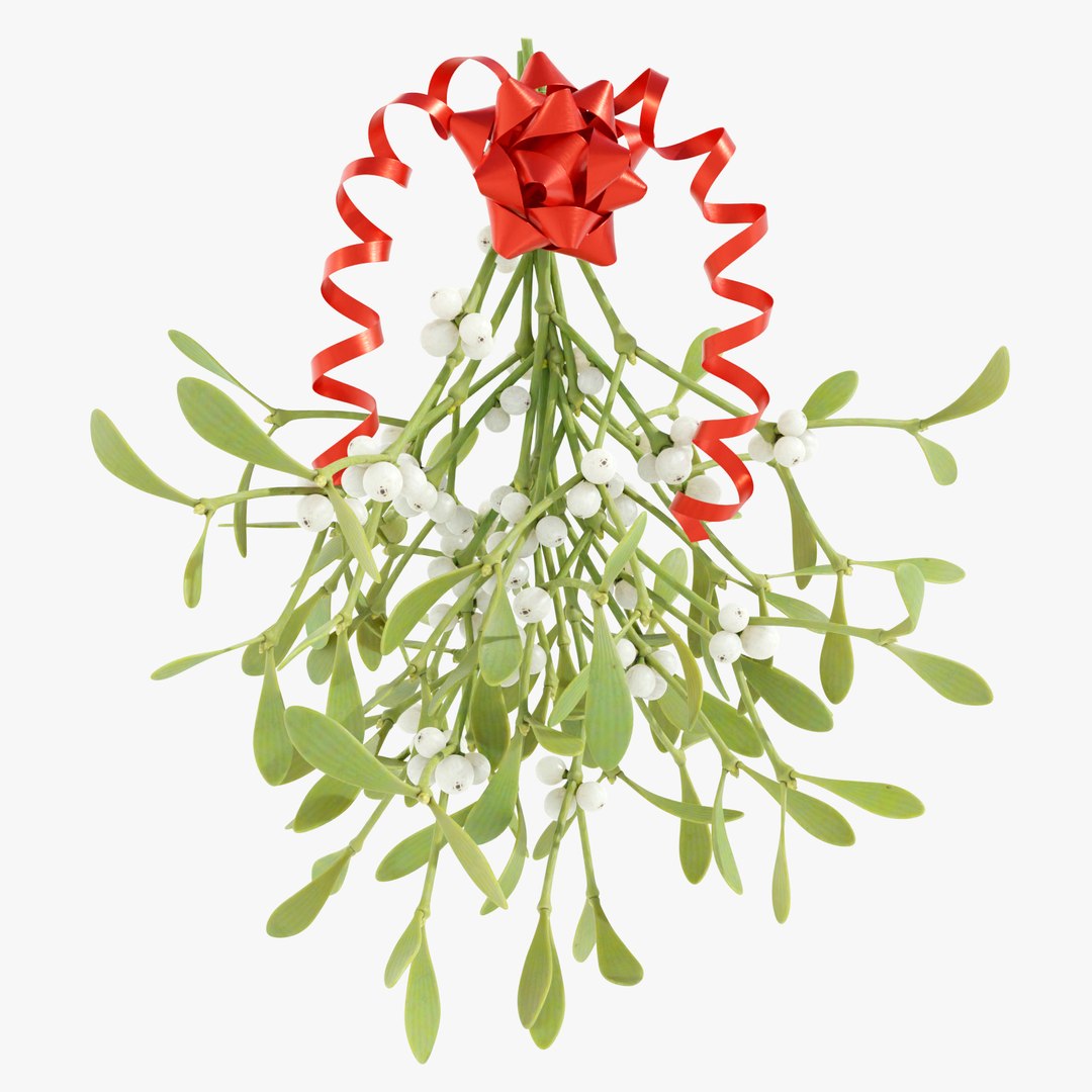 Mistletoe Bunch 3D - TurboSquid 2170741