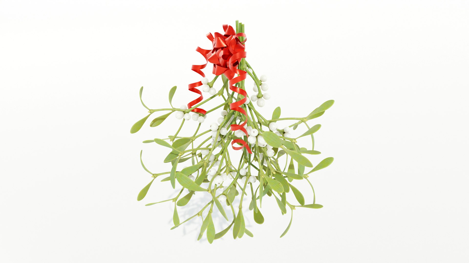 Mistletoe Bunch 3D - TurboSquid 2170741