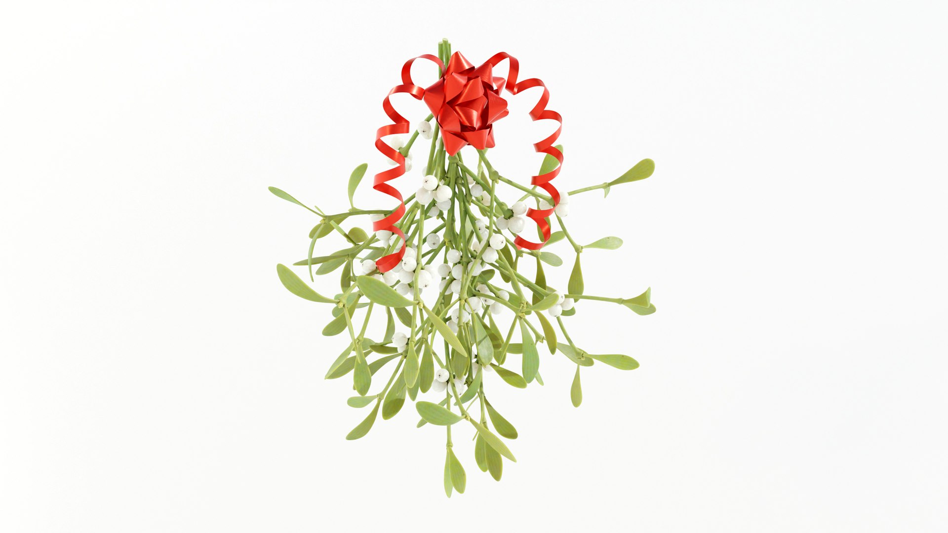Mistletoe Bunch 3D - TurboSquid 2170741