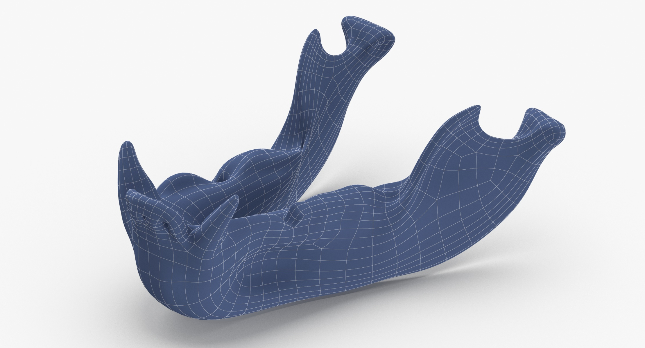 Pavian monkey male jaw 3D model - TurboSquid 1573484